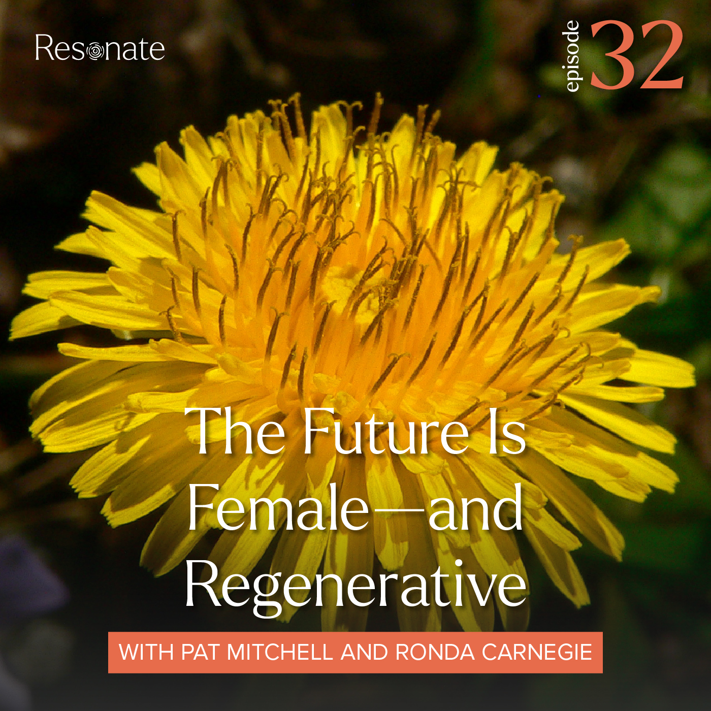 Episode 32: The Future Is Female—and Regenerative with Pat Mitchell ...